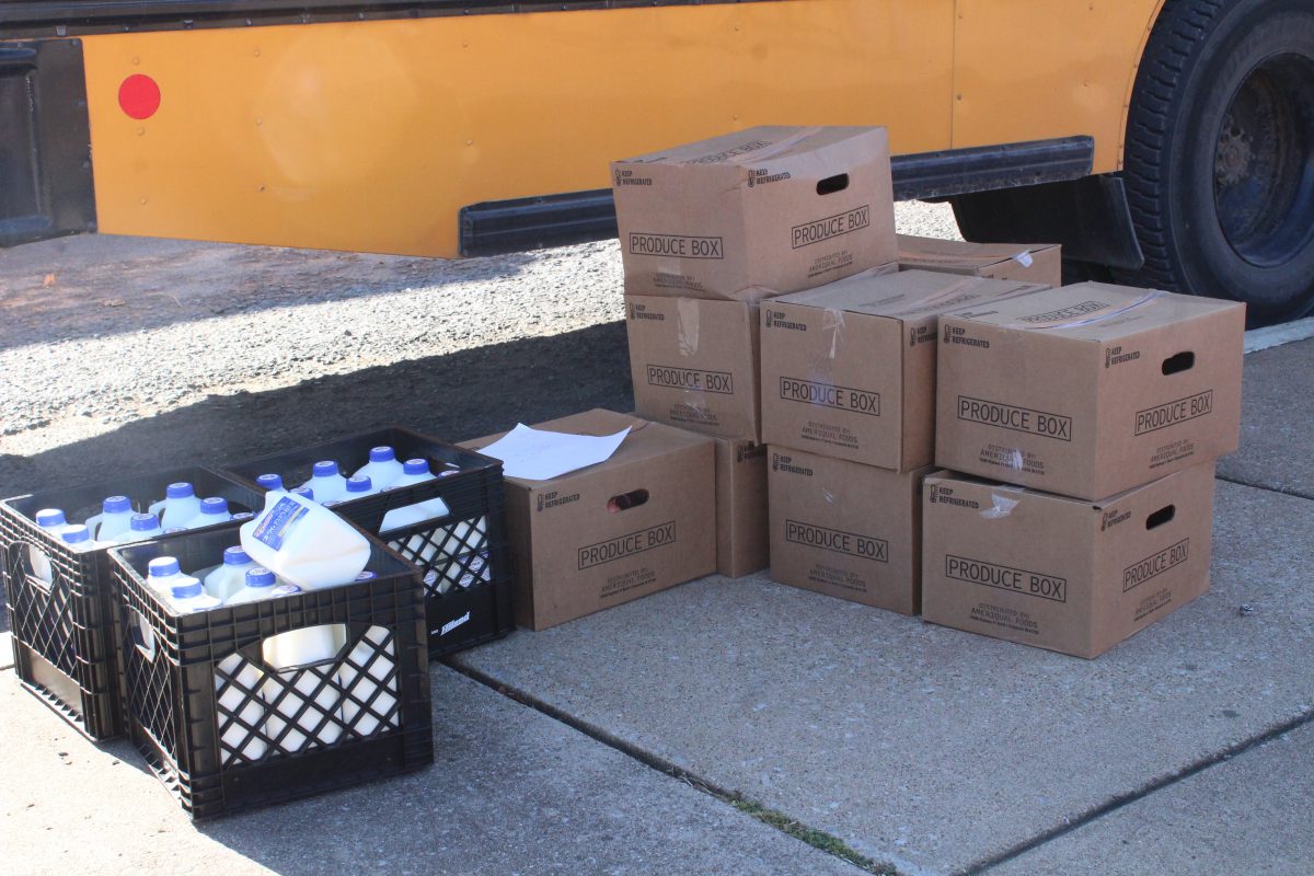 Food boxes and milk to be delivered to school children on bus routes ...